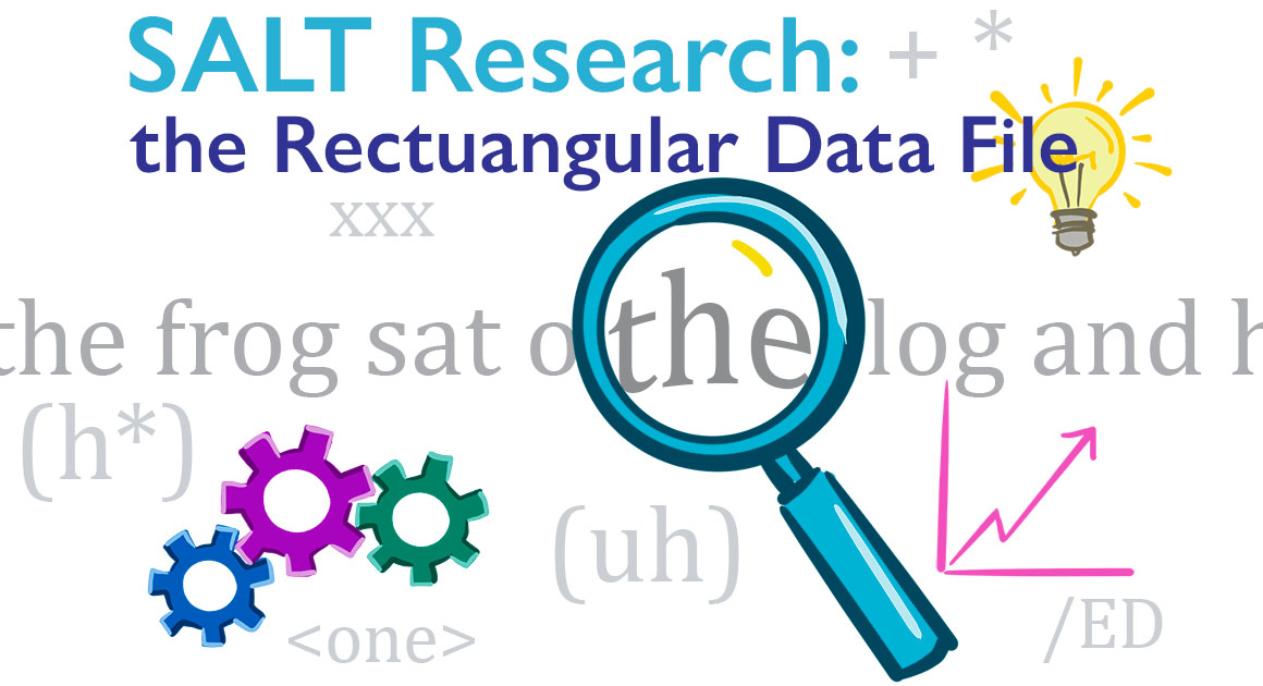 SALT Research: the Rectangular Data File